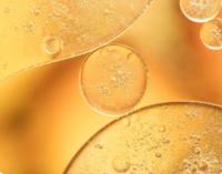 China Immobilized Lipase 4000U/g Food Grade Enzyme for Baking Beer Vinegar Alcohol for sale
