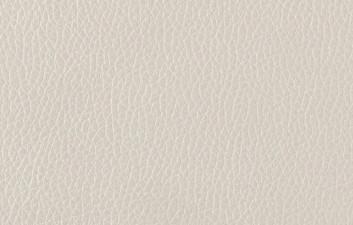 China Industrial Tanning Lipase Enzyme Powder & Liquid 100,000-800,000 U/g for Leather Processing with 30-70℃ Temperature Range for sale