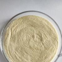 China Resin Barrier Control Enzyme for Paper Manufacturing - Powder & Liquid Form with 6.0-9.0 pH Range and 30-65℃ Temperature Tolerance for sale