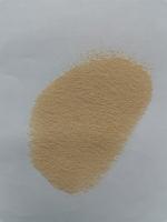 China Tanning Protease Powder Industrial Enzyme for Leather Processing | 100,000-300,000 U/g Activity | 25kg Bags for sale