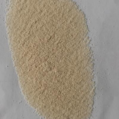 China Industrial Washing Lipase Enzyme 100000-800000 U/g for Detergent Products for sale