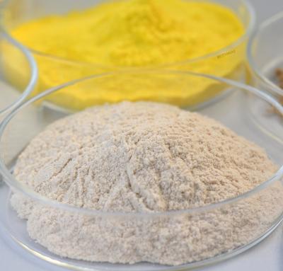 China Industrial Waste Paper Adhesive Control Enzyme 0.10-0.20kg/T Reduces Paper Hole Improves Surface Performance for sale