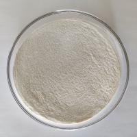 China Bakery Enzyme BXW10 Flour Improver 3000-5000 g/T pH 2.5-11.5 Powder Liquid for sale