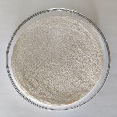China Bakery Enzyme BXW10 Flour Improver 3000-5000 g/T pH 2.5-11.5 Powder Liquid for sale