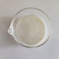 China Improve Filtration Performance With Bakery Enzyme Solid 20kg/Barrel Liquid 30L/Barrel for sale