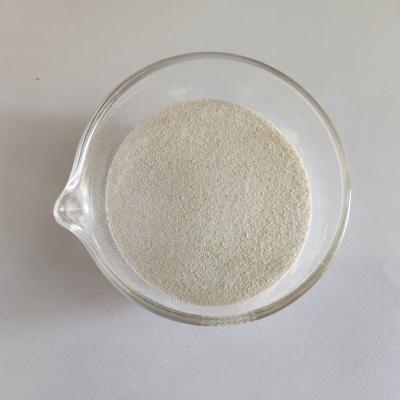 China Improve Filtration Performance With Bakery Enzyme Solid 20kg/Barrel Liquid 30L/Barrel for sale