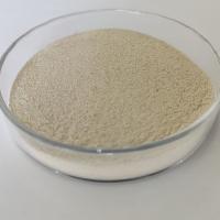 China Food Grade Acid Protease 50000U/g for Alcohol Fermentation Yeast Growth for sale