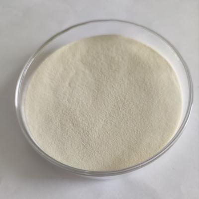 China Food Grade Alpha-Galactosidase Enzyme Powder 5000-20000 U/g for Improved Nutrition for sale