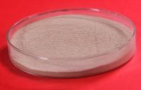 China Food Grade Alpha Galactosidase 20000 U/g Enzyme Powder for Bitter Taste Elimination for sale