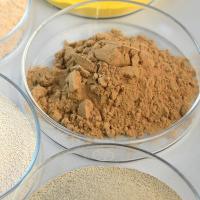 China Protective Gear Required For Operating Alcohol Fermentation Enzymes for sale