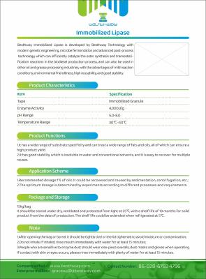 China Immobilized Lipase Industrial Enzyme 4000U/g for Biodiesel Production with 30-50℃ Temperature Range for sale