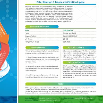 China Esterification and Transesterification Lipase, Biodiesel, Industrial Enzymes for sale