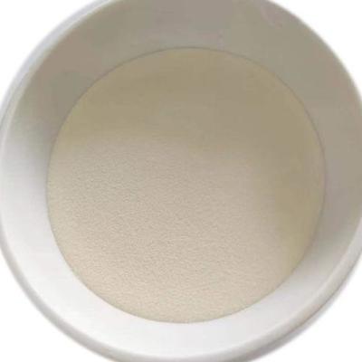China Food Grade Enzymes Powder 5000-20000 U/g Enzyme Activity 20kg Barrel for Food Processing for sale