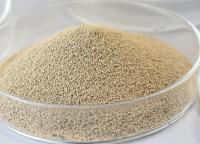 China Besthway Immobilized Lipase Industrial Enzyme 4000U/g for Biodiesel Production with 30-50℃ Temperature Range for sale