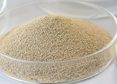 China Besthway Immobilized Lipase Industrial Enzyme 4000U/g for Biodiesel Production with 30-50℃ Temperature Range for sale