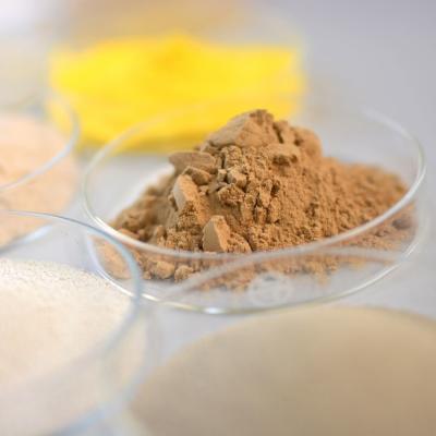 China Industrial Neutral Protease Enzyme Powder 5000-20000U/g for Protein Hydrolysis for sale