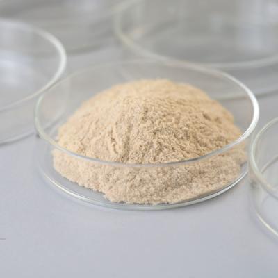 China PH Range 5.5-10.5 Industrial Enzyme Powder For Industrial Processes for sale