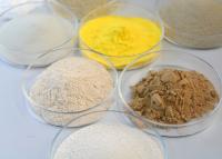 China Industrial Fungal Lipase Powder & Liquid - 100,000-800,000 U/g Activity with 2.5-11.5 pH Range for sale