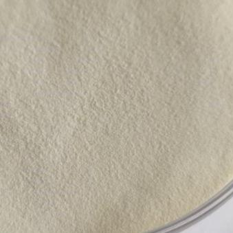 China Food Grade Alcohol Fermentation Enzymes 20kg Barrel Amylase Protease Cellulase for Wastewater Treatment for sale