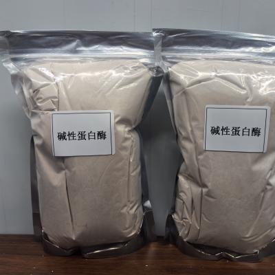 China Enhance Amino Acid and Small Peptide Content with Protein Enzyme for sale