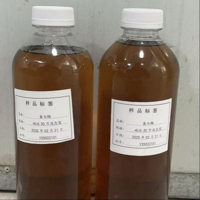 China Thermostable Alkaline Protease 200000-300000U/g Powder for Industrial Washing and Leather Processing for sale