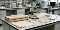 China Washing Protease Enzyme for Detergents - 100,000-300,000 U/g Activity Powder & Liquid Formulations for sale