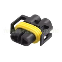 China 2 Pins 12124819 12124817 Automotive Female Male Sealed Connector Fog Lamp Light Socket Xenon Plug for sale