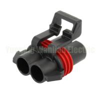 China 12052613 Auto Plug 2 Pin Wire Harness Connector Waterproof Electric Cable Connector for sale