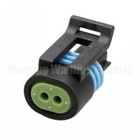China 12162193 12162195 0441201 2 Pin Female Waterproof Electrical Wire Connector Sealed Auto Plug for sale