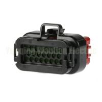 China Ampseal 23 Pin Connector 770680-1 Auto Electrical Connector for sale