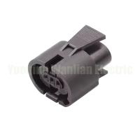 China 2 Pin 1H0972117 829572-1 1H0973117A Auto Waterproof Connector Plug Wiring Harness Connector for sale