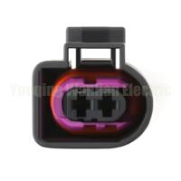 China 2 Pin 4D0971992A 60404011 4D0 971 992 A Car Sealed Connector Automobile High Pressure Oil Pump Wiring Harness Sockets for sale