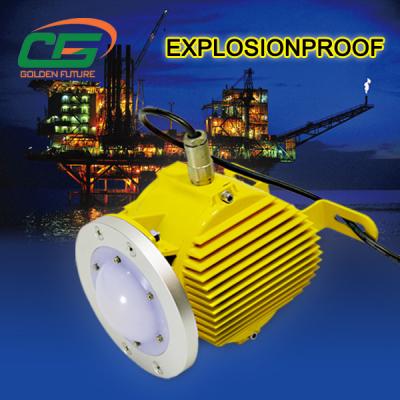 China Multifunction Industry Light 50w Explosionproof IP66 5000lm 60HZ for sale