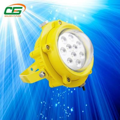 China Aluminium Alloy 60Watt Industry Light IP66 Led Explosion Proof Light for sale