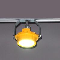 China Yellow Waterproof LED Loading Dock Lights 2500 Lumens Explosive Hazardous Led Light for sale
