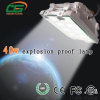 China IP65 40w Water Proof Canopy Light Fixtures Gas Station High Brightness for sale