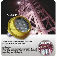 China 2000 Lumens G3 Industrial Gas Station 20 Watt LED Canopy Light For Stadium for sale
