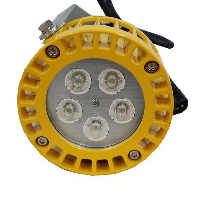 China Golden Future 30W LED Loading Dock Light Long Lifespan 50000 Hours Boat Dock Lighting for sale