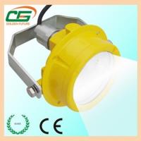 China UL FCC Waterproof Gas Station LED Canopy Light 20 Watt , WF2 LED Marine Dock Lighting Fixtures for sale