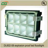 China IP66 WF2 4000Lm Explosion Proof LED lights 40W 220V For Gas Station Lighting for sale