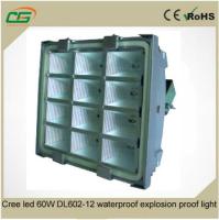China Waterproof Cree 60W Gas Station LED Canopy Light DC 24V 10000lm With Explosion Proof for sale
