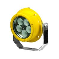 China Industrial Explosion Proof Dock Light  30W LED  IP67 Rated for Oil Rigs  Chemical Plants for sale
