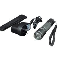 China Portable Rechargeable IP66 LED Explosion-proof Flashlight DFL-04 ATEX approved Torch Light for sale