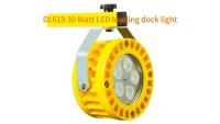 China Warehouse  Loading Dock LED Light  DL619 30W High Bay Fixture with IP66 Waterproof Rating for Indoor Outdoor Handling Areas for sale
