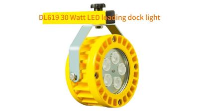 China Warehouse  Loading Dock LED Light  DL619 30W High Bay Fixture with IP66 Waterproof Rating for Indoor Outdoor Handling Areas for sale