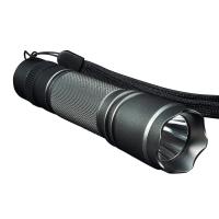 China Rugged DFL-04 3W Rechargeable LED Torch Intrinsically Safe & Explosion Proof for Tough Jobs for sale