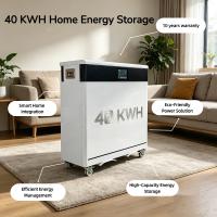 China 51.2V 600Ah 30kWh Split‑Type BYD LiFePO4 Lithium Iron Phosphate Battery Household Energy Storage Battery Pack for Residential Emergency Backup Power Supply for sale