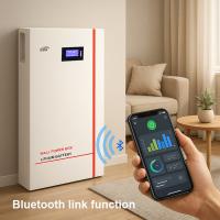 China BG01 Wall-mounted 25.6v 51.2v 5kwh 10kwh 15kwh 100Ah 200Ah 300AH Lifepo4 Battery Solar Power Home Energy Storage System for sale