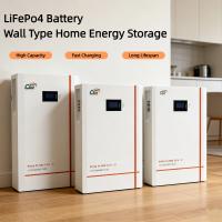 China BG01 Wall-mounted 25.6v 51.2v 5kwh 10kwh 15kwh 100Ah 200Ah 300AH Lifepo4 Battery Solar Power Home Energy Storage System for sale