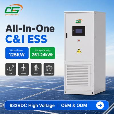 China CES-261-L All in One Industrial Power Station 125KW 261KWH LiFePO4 Battery for C&I Energy Storage System for sale